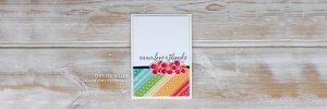 Flourish Thinlits Dies All Stars Tutorial Bundle
