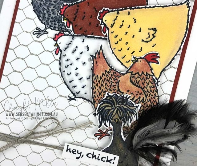 Creating Kindness in May - Animals - Sense of Whimsy