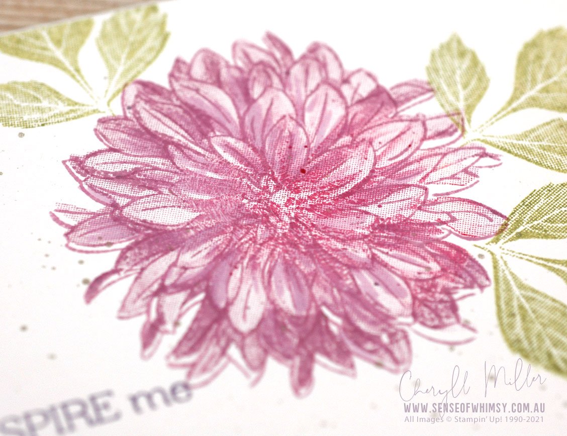 Delicate Dahlias for Stamping Sunday Blog Hop - Sale-A-Bration Mark II ...