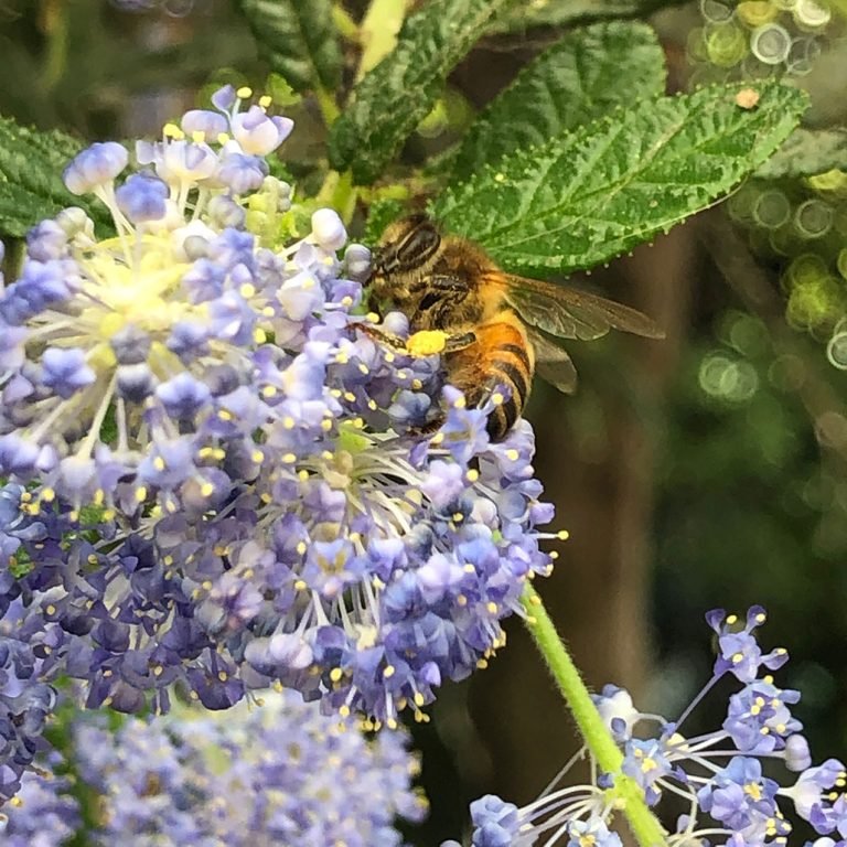 It's a Wonderful Day in the Neighbourhood Around the World on Wednesday ...
