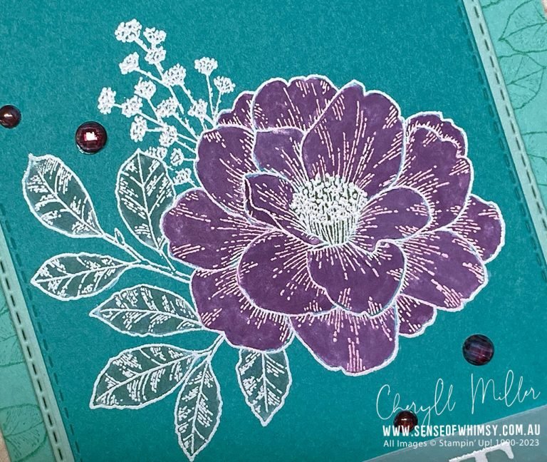 Cottage Rose - Colour Challenge Around the World on Wednesday - Sense ...